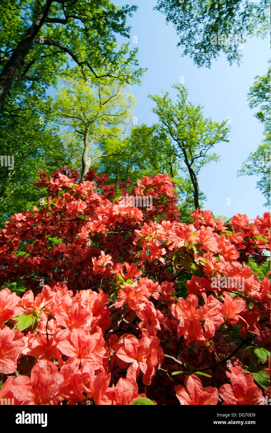 Winterthur gardens hi-res stock photography and images - Alamy