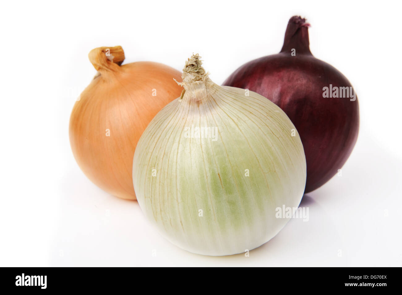 Three different types onions on white background Stock Photo - Alamy