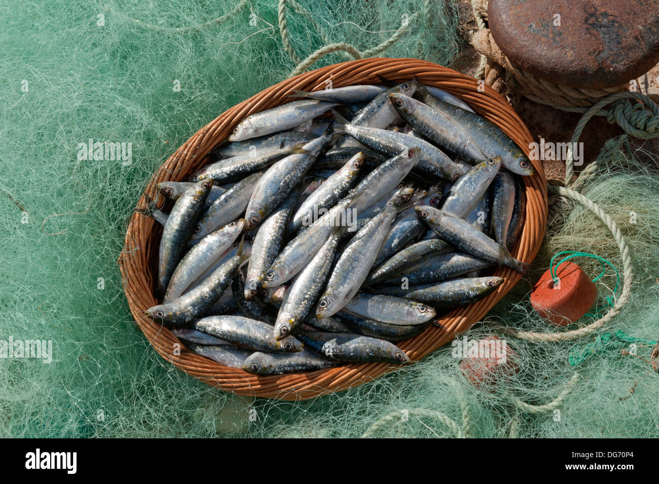 Fishing wicker basket fish hi-res stock photography and images - Alamy