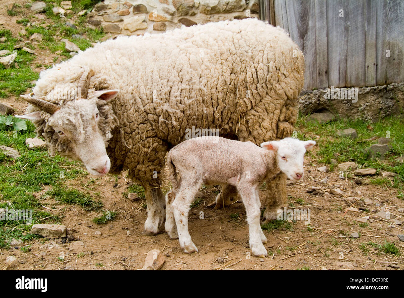 Pennsylvania plantation hi-res stock photography and images - Alamy