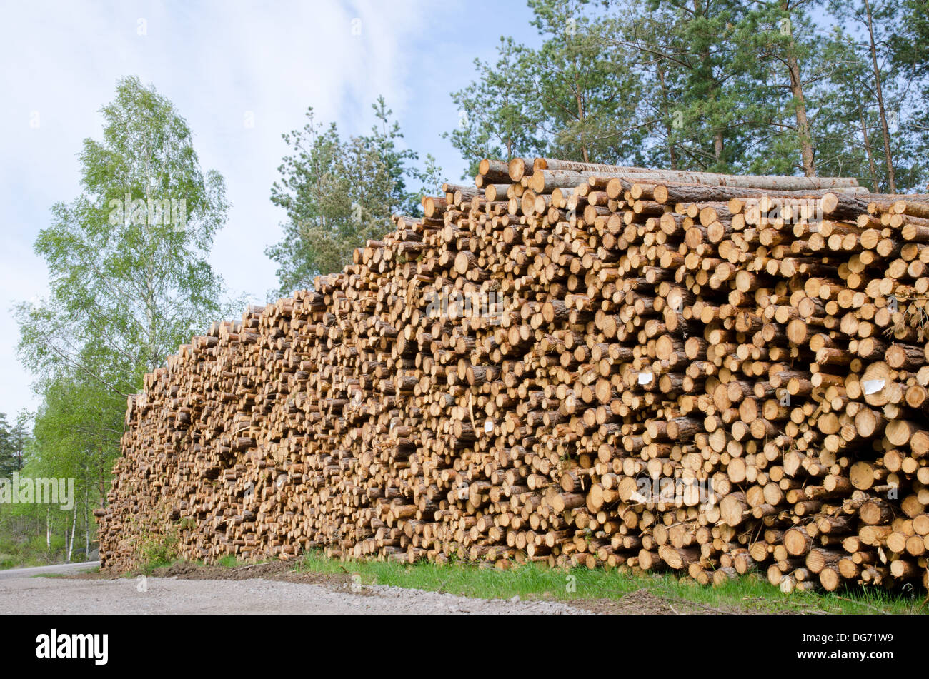 Big timber hi-res stock photography and images - Alamy