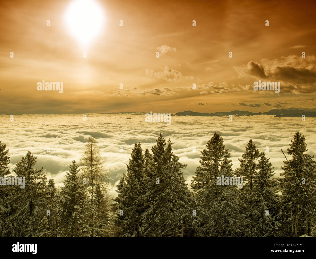 Foggy mountain woods hi-res stock photography and images - Alamy