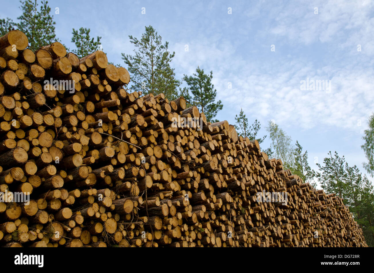 Big pile of logs hi-res stock photography and images - Alamy