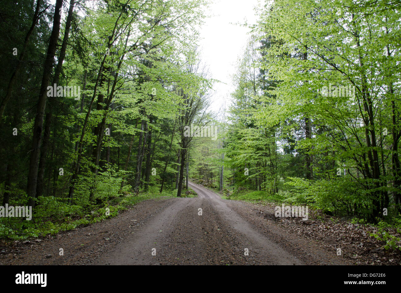 Tale of springtime hi-res stock photography and images - Alamy