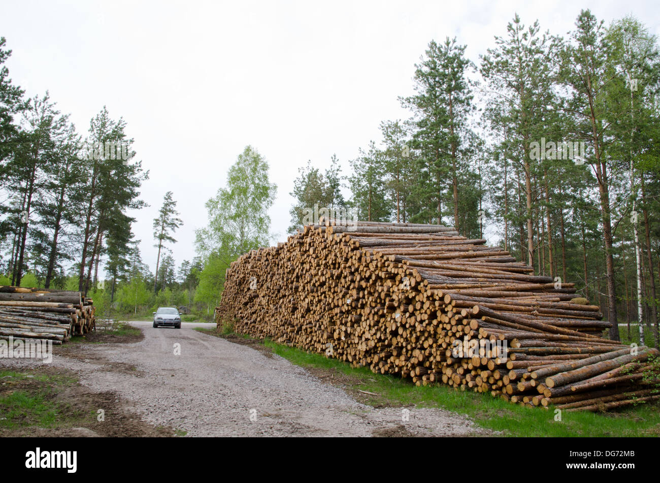 Timber stacks hi-res stock photography and images - Alamy