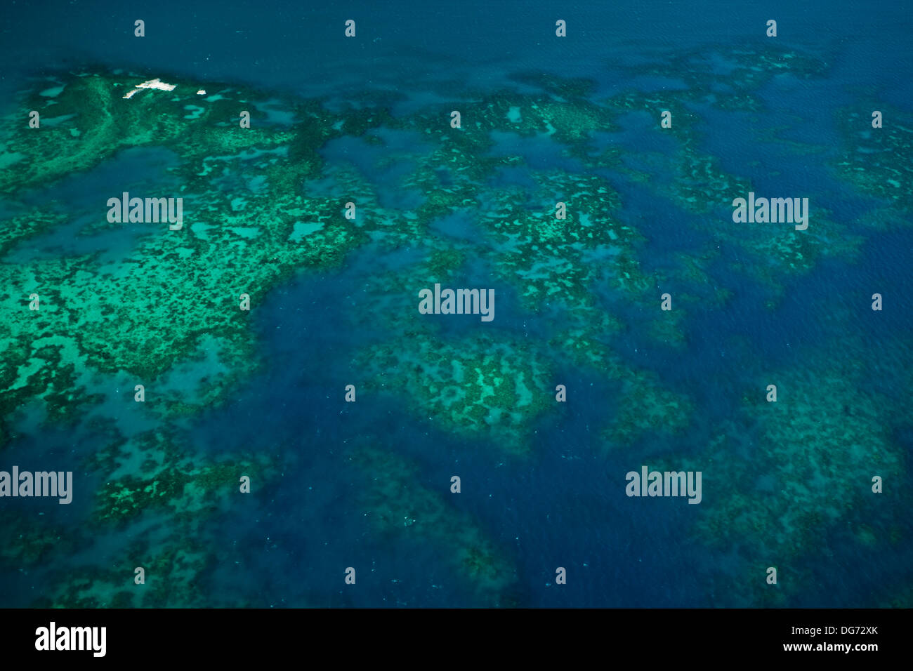 aerial view of colorful coral reef , Upolu Caye, and water at Arlington ...