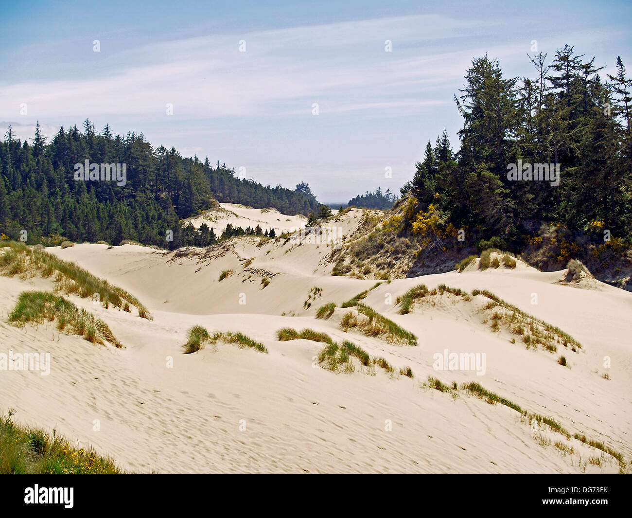 Oregon Dunes National Recreation Area High Resolution Stock Photography ...