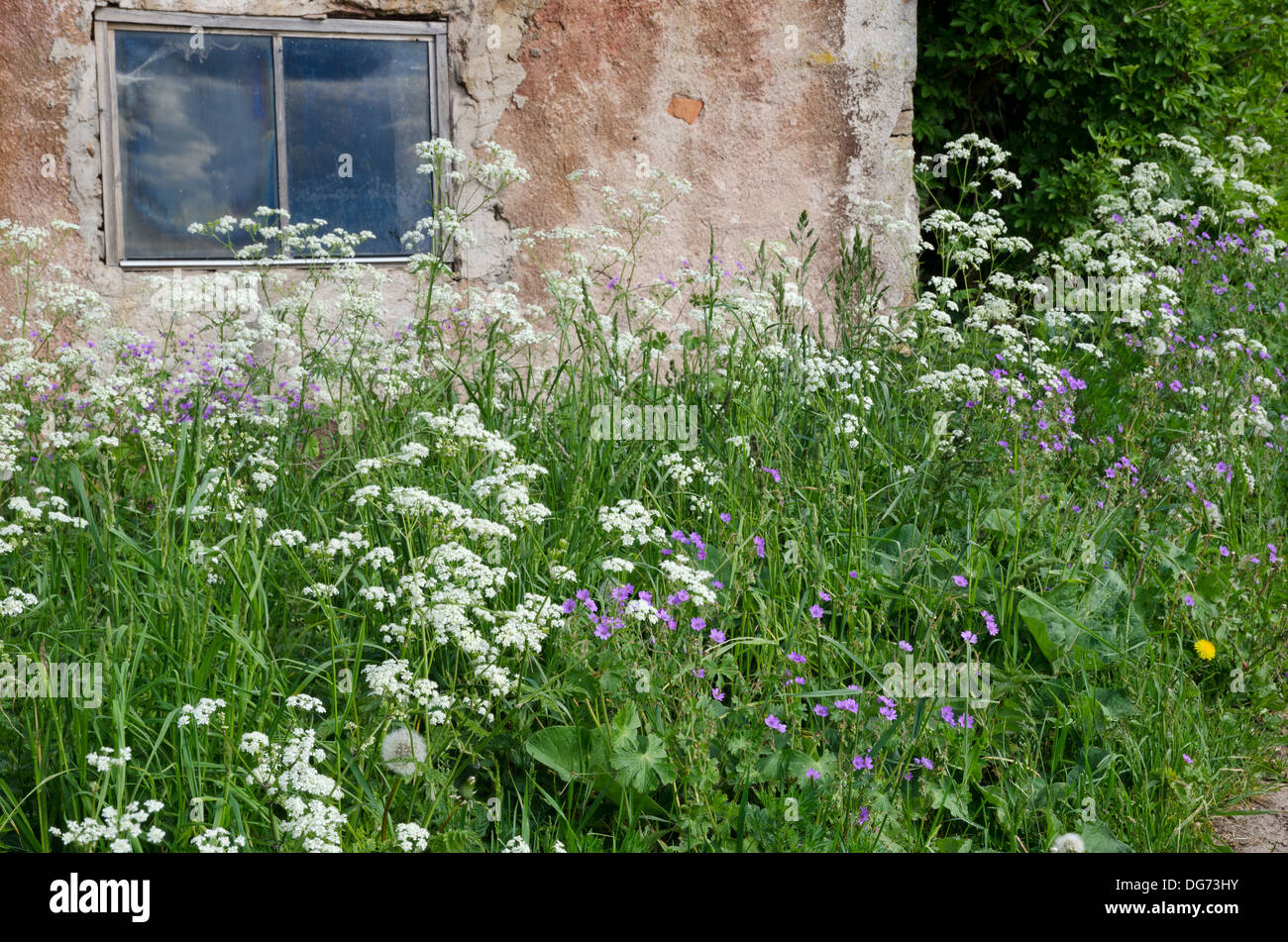 Colorful roadside hi-res stock photography and images - Alamy