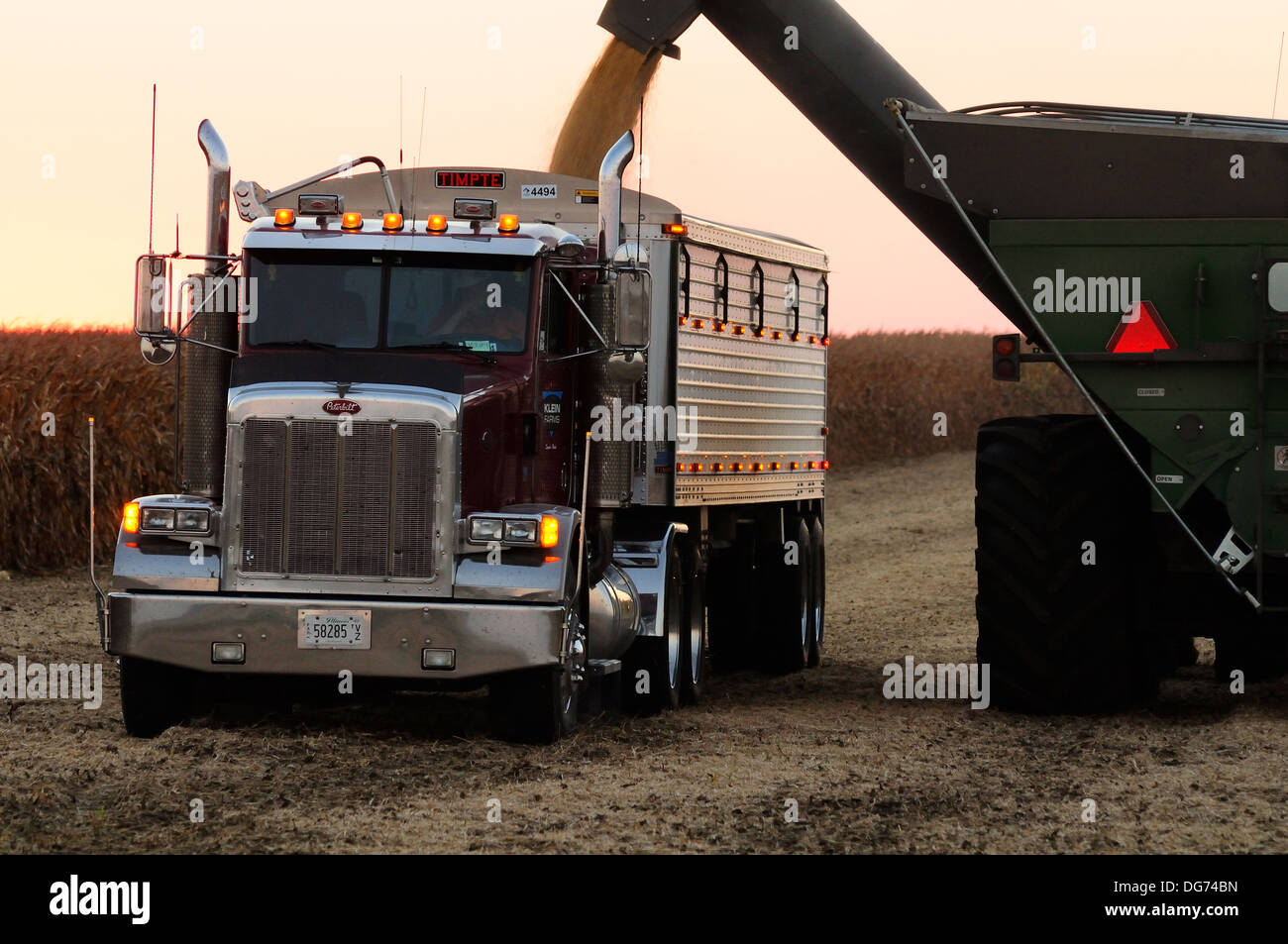 Offloading soybeans from a grain wagon during harvest Stock Photo - Alamy