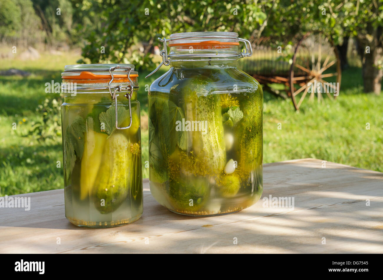 Fermented cucumber hi-res stock photography and images - Alamy