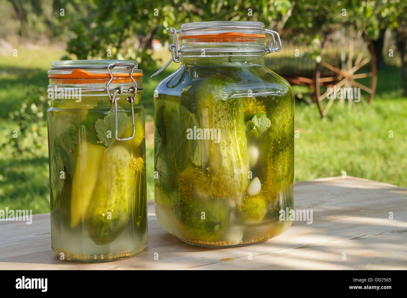 Fermented cucumber hi-res stock photography and images - Alamy