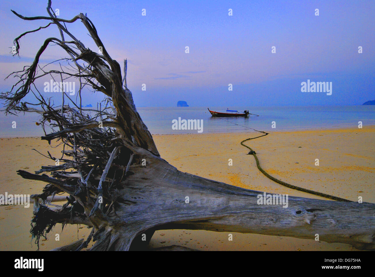 Thailand's Islands & Beaches - Fallen trees on the beach (Koh Buloh ...