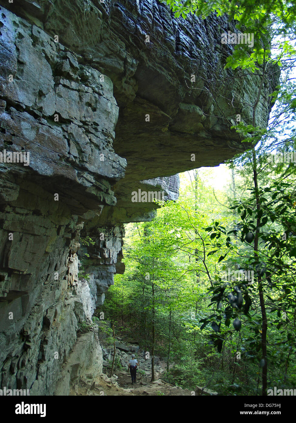 Greeter falls trail hi-res stock photography and images - Alamy