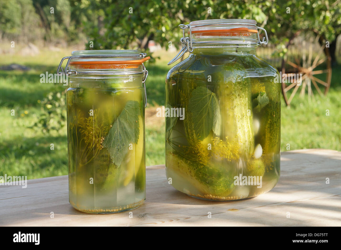 Fermented cucumber hi-res stock photography and images - Alamy