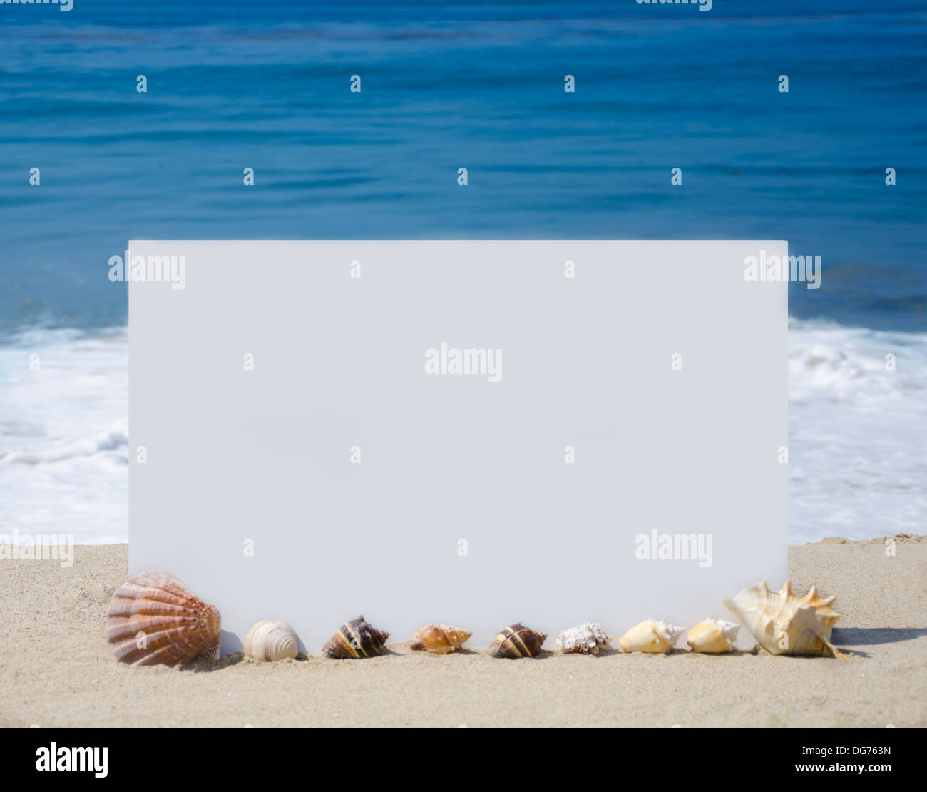 White board with seashells on sandy beach Stock Photo - Alamy