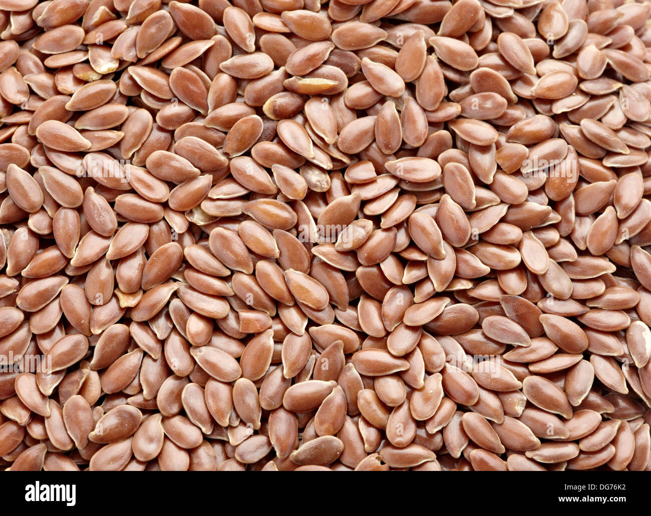 close up of flax seeds on white background Stock Photo - Alamy