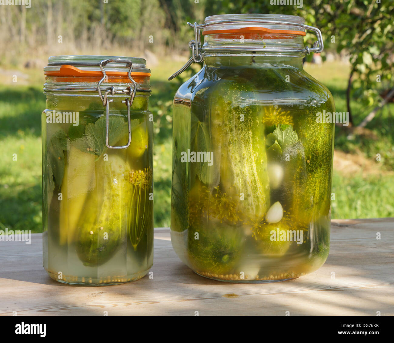 Fermented cucumber hi-res stock photography and images - Alamy