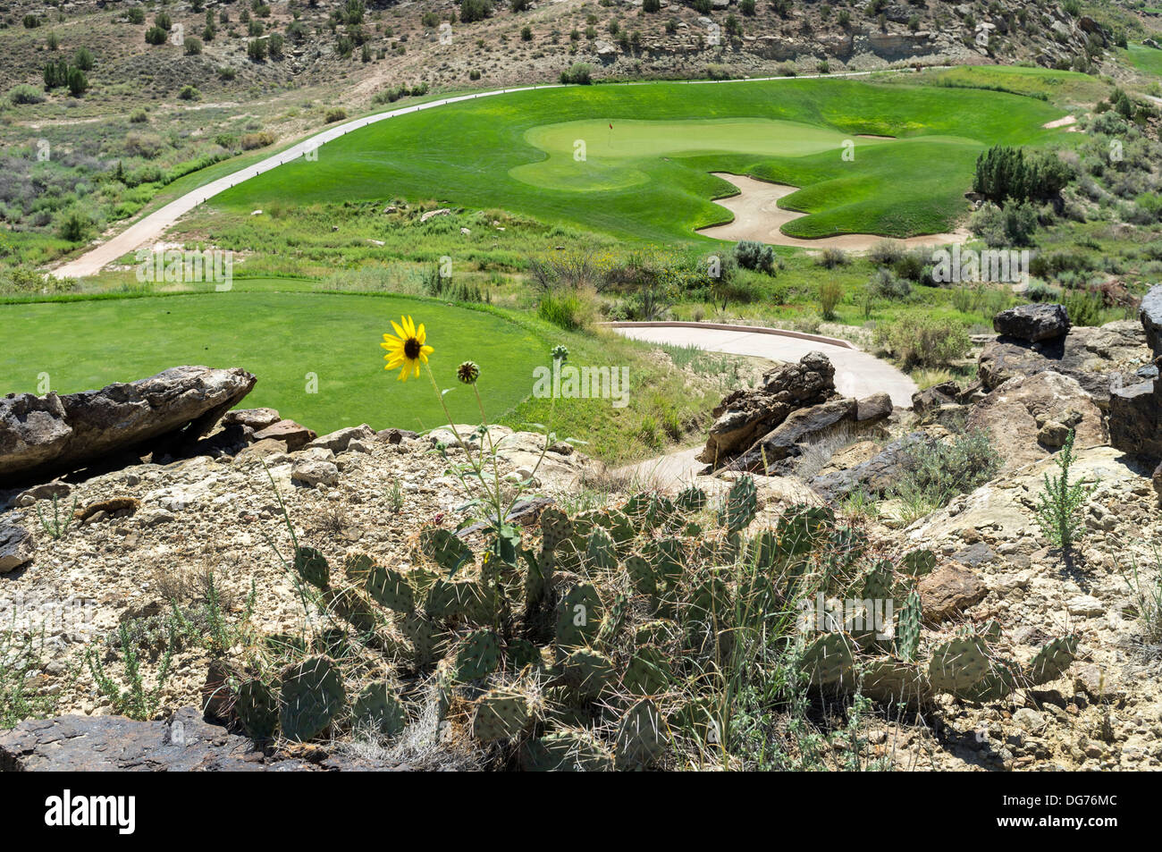 Twelfth tee and green, par 3, at Redlands Mesa Golf Club, Grand ...