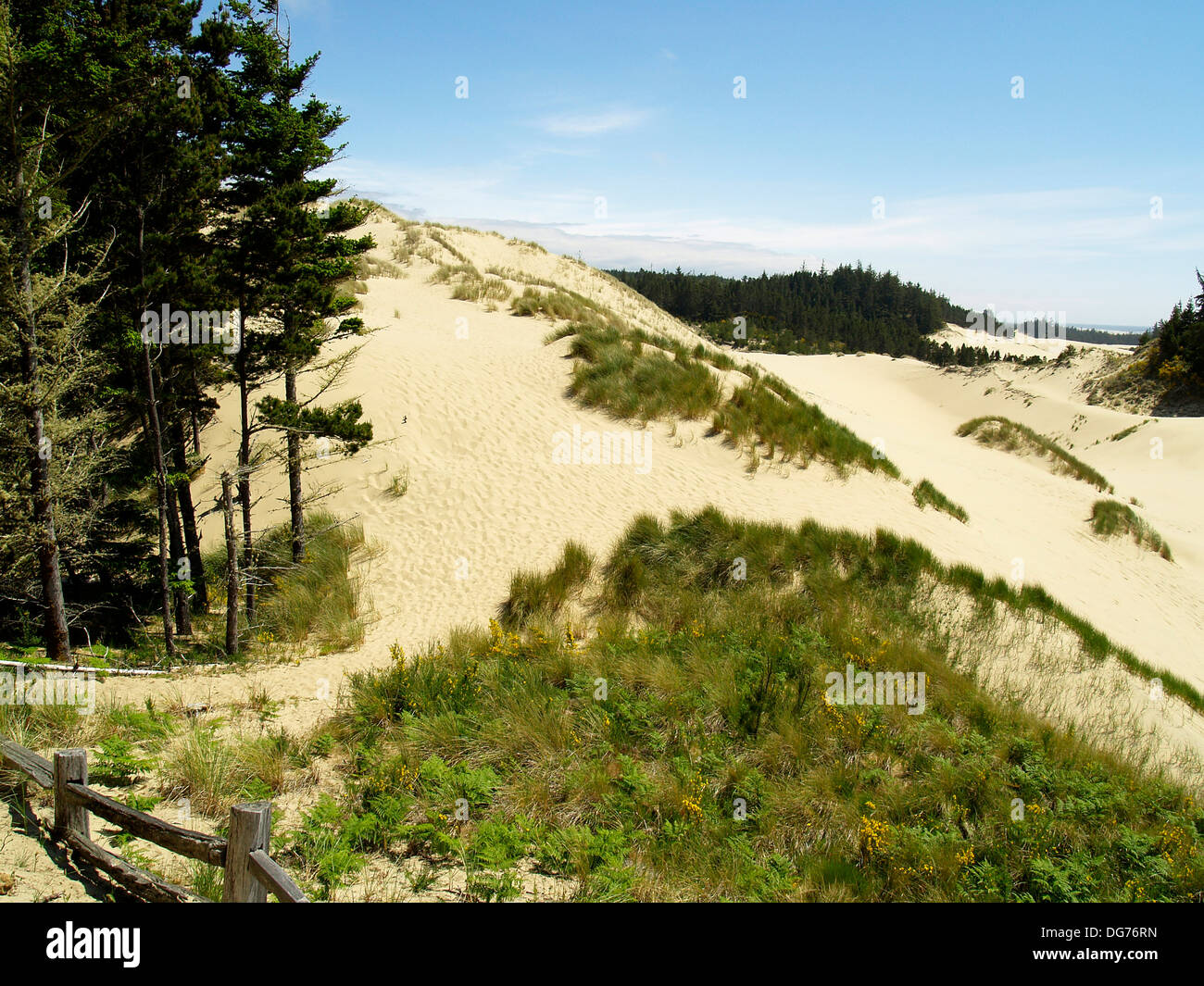 Oregon dunes national recreation area hi-res stock photography and ...