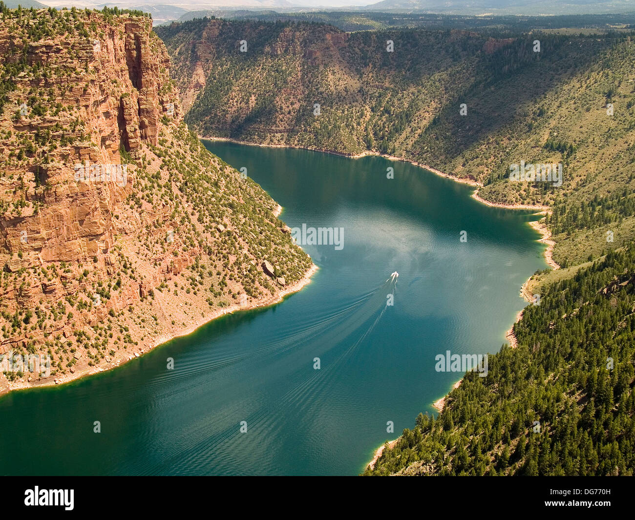 A leaves a wake on the Green River,Flaming Gorge,Utah Stock Photo - Alamy