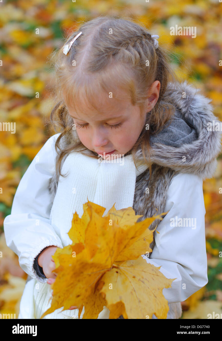 Little girl with fallen autumn leaves Stock Photo - Alamy