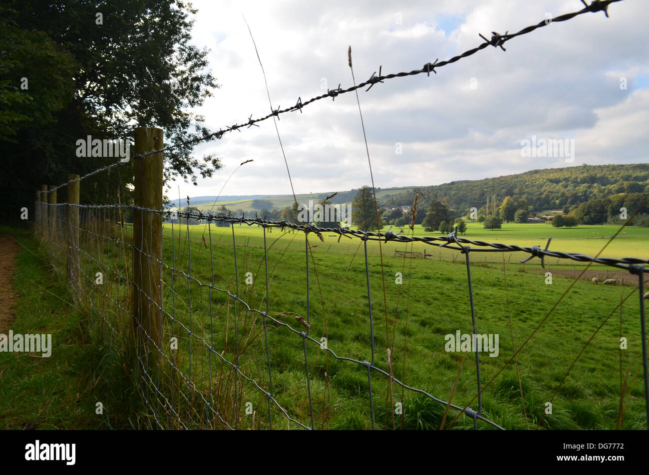 Barbed wire fence Stock Photo - Alamy