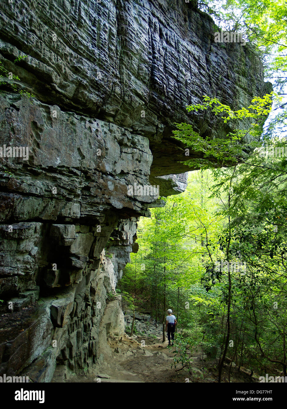 Cumberland state park hi-res stock photography and images - Alamy