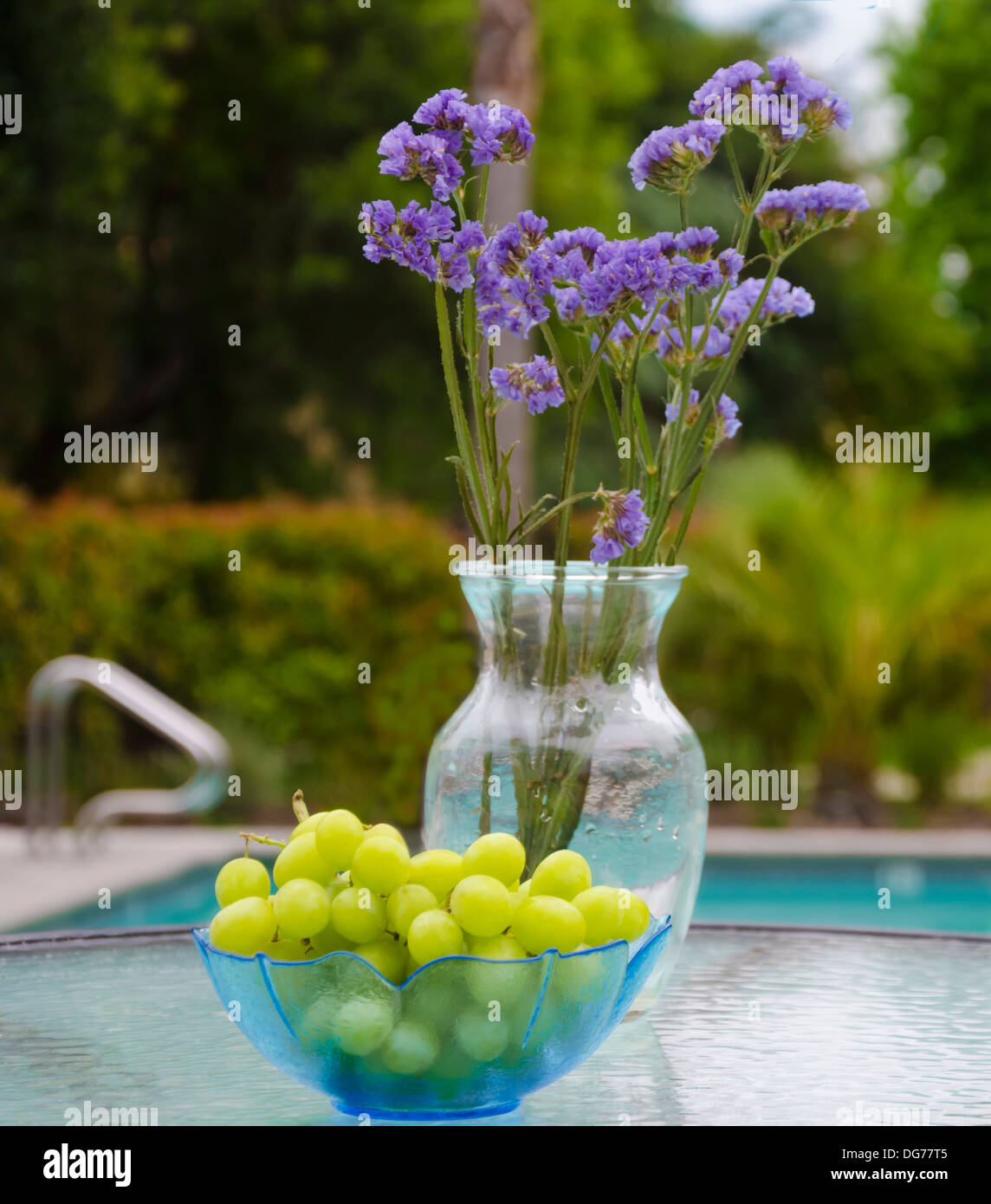 Vase with blue flowers and grapes stay on glass table by the pool Stock ...