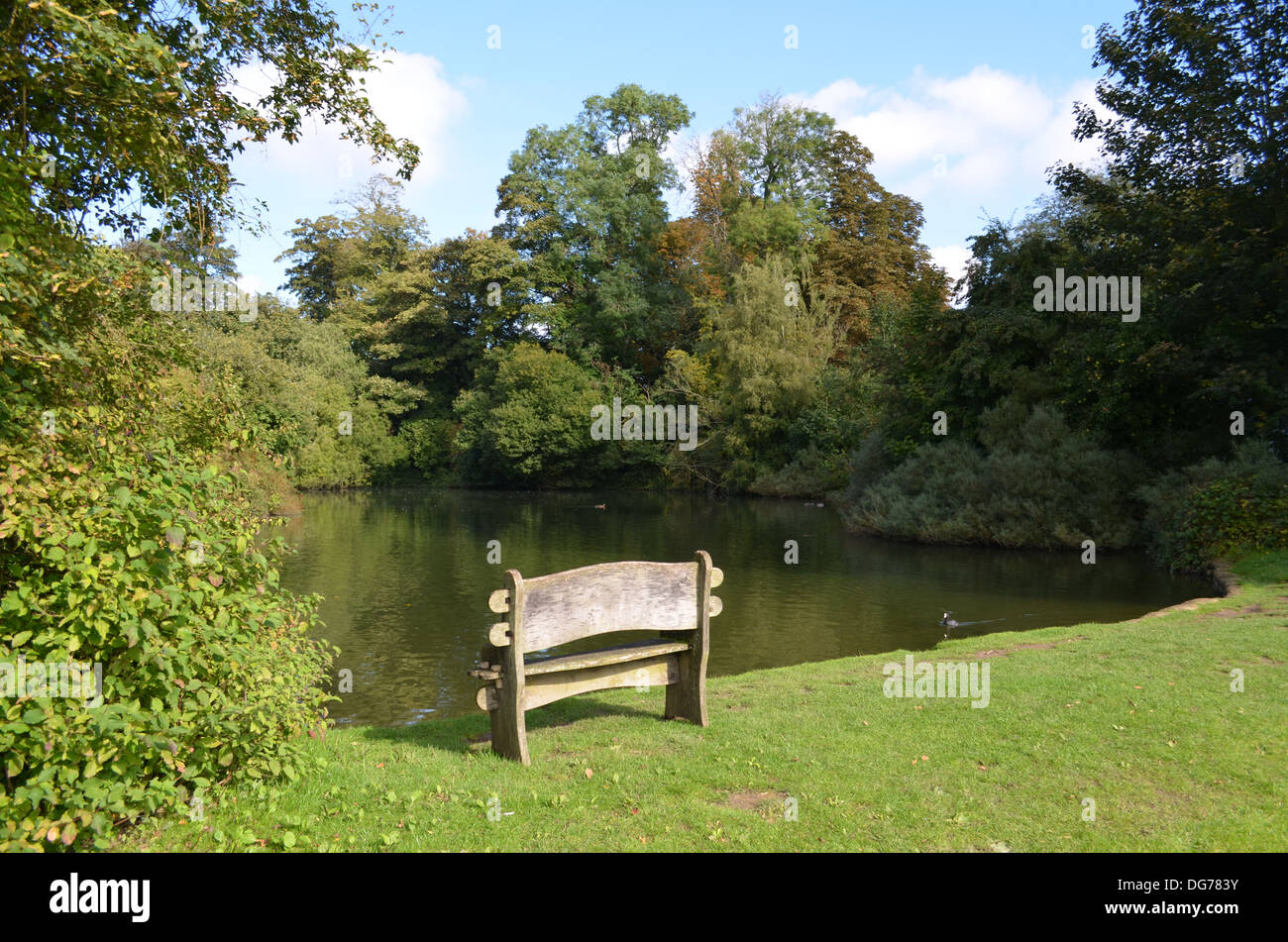 Bench by pond hi-res stock photography and images - Alamy