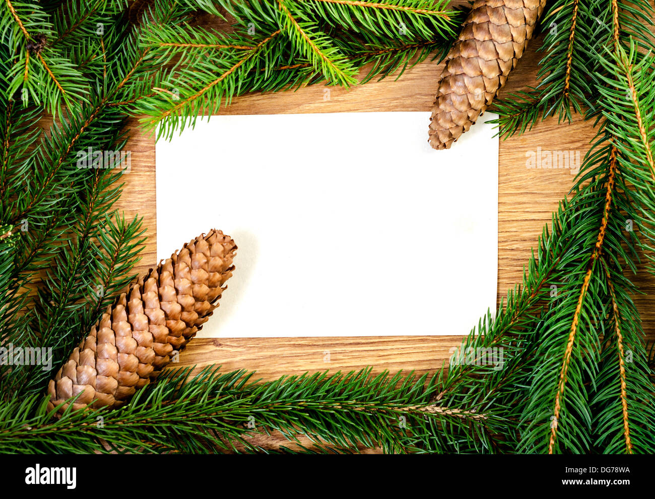 Christmas spruce frame for congratulations Stock Photo - Alamy