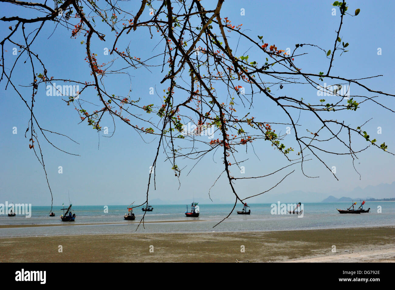 Thailand's Islands & Beaches - Fishing boats on the beach (Pranburi ...