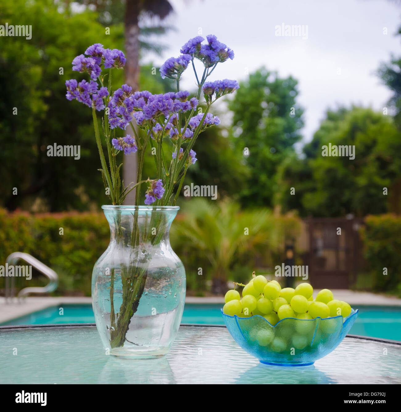 Vase with blue flowers and grapes stay on glass table by the pool Stock ...