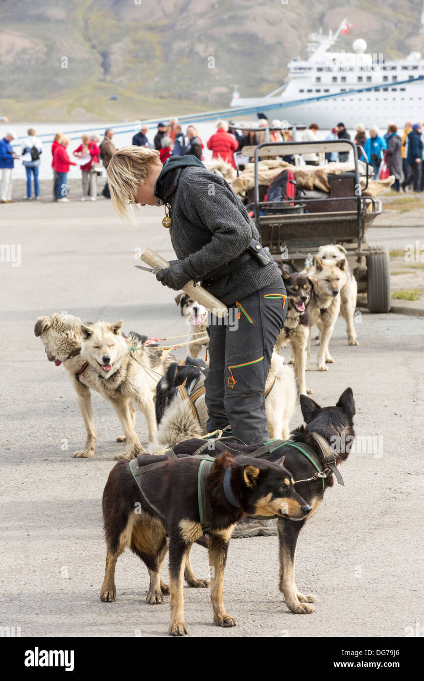 Husky dog longyearbyen spitsbergen svalbard hi-res stock photography ...