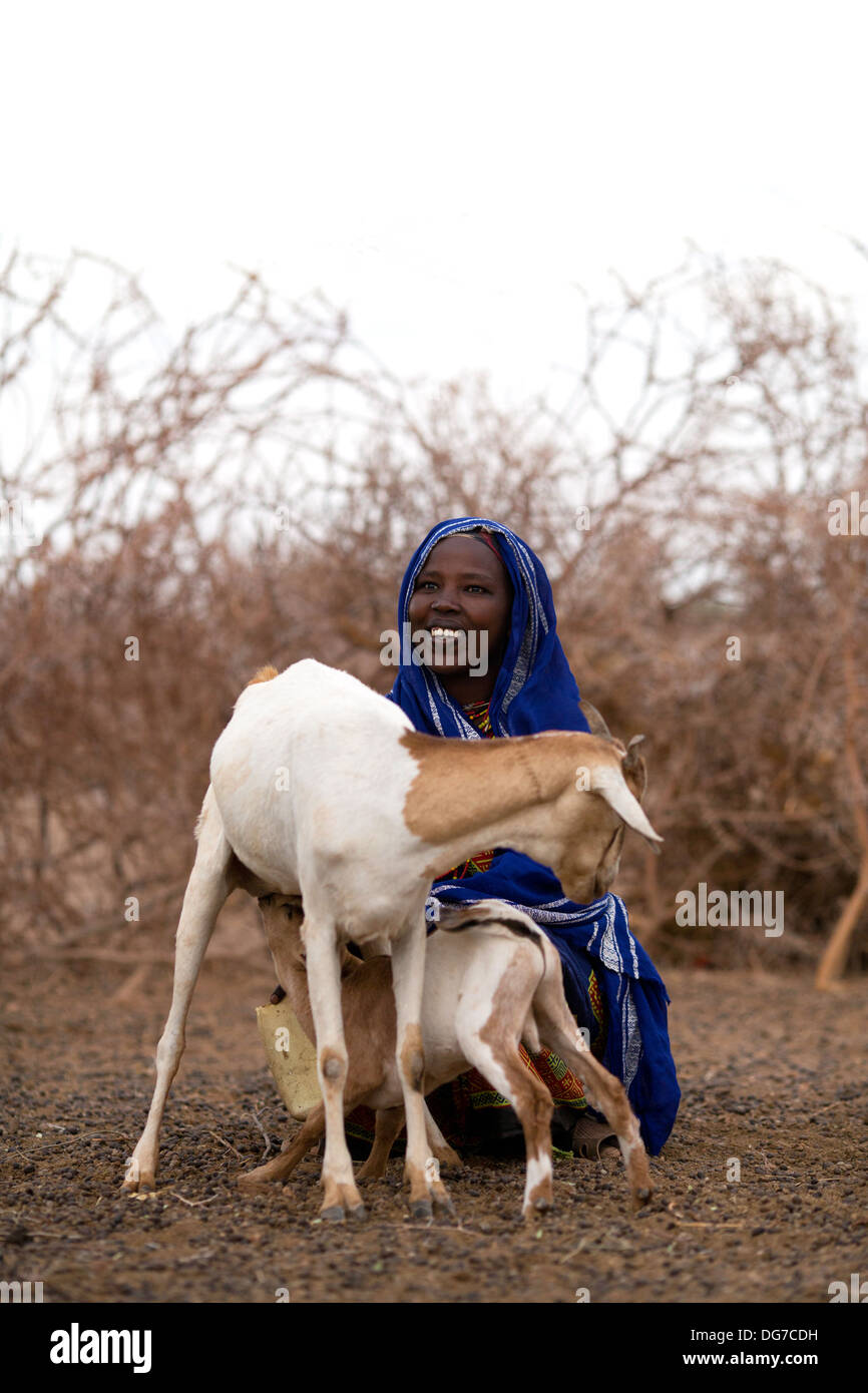 Goat milking woman hi-res stock photography and images - Alamy