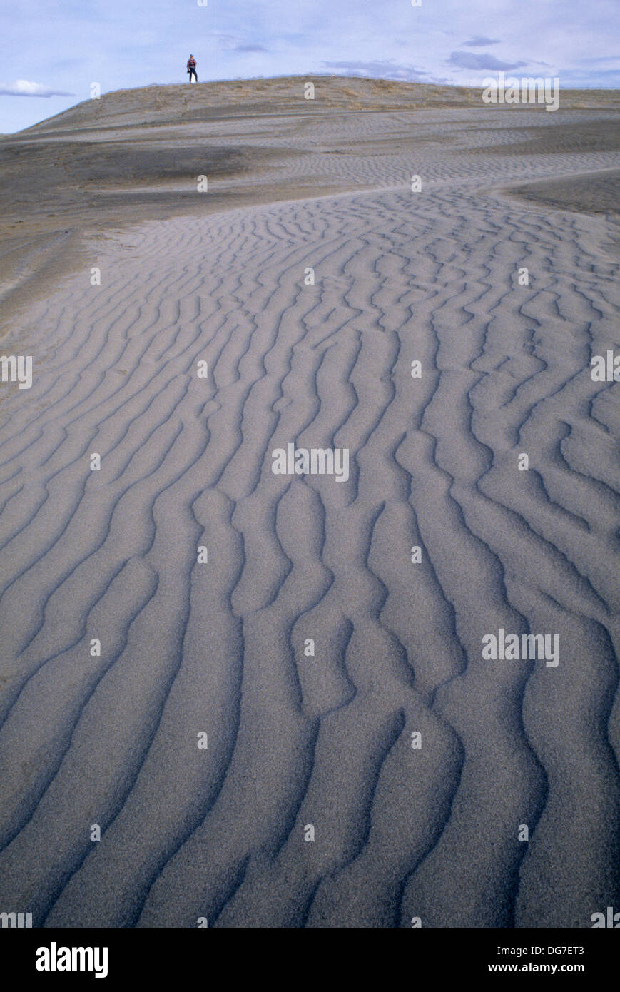 Juniper Dunes Wilderness High Resolution Stock Photography and Images ...