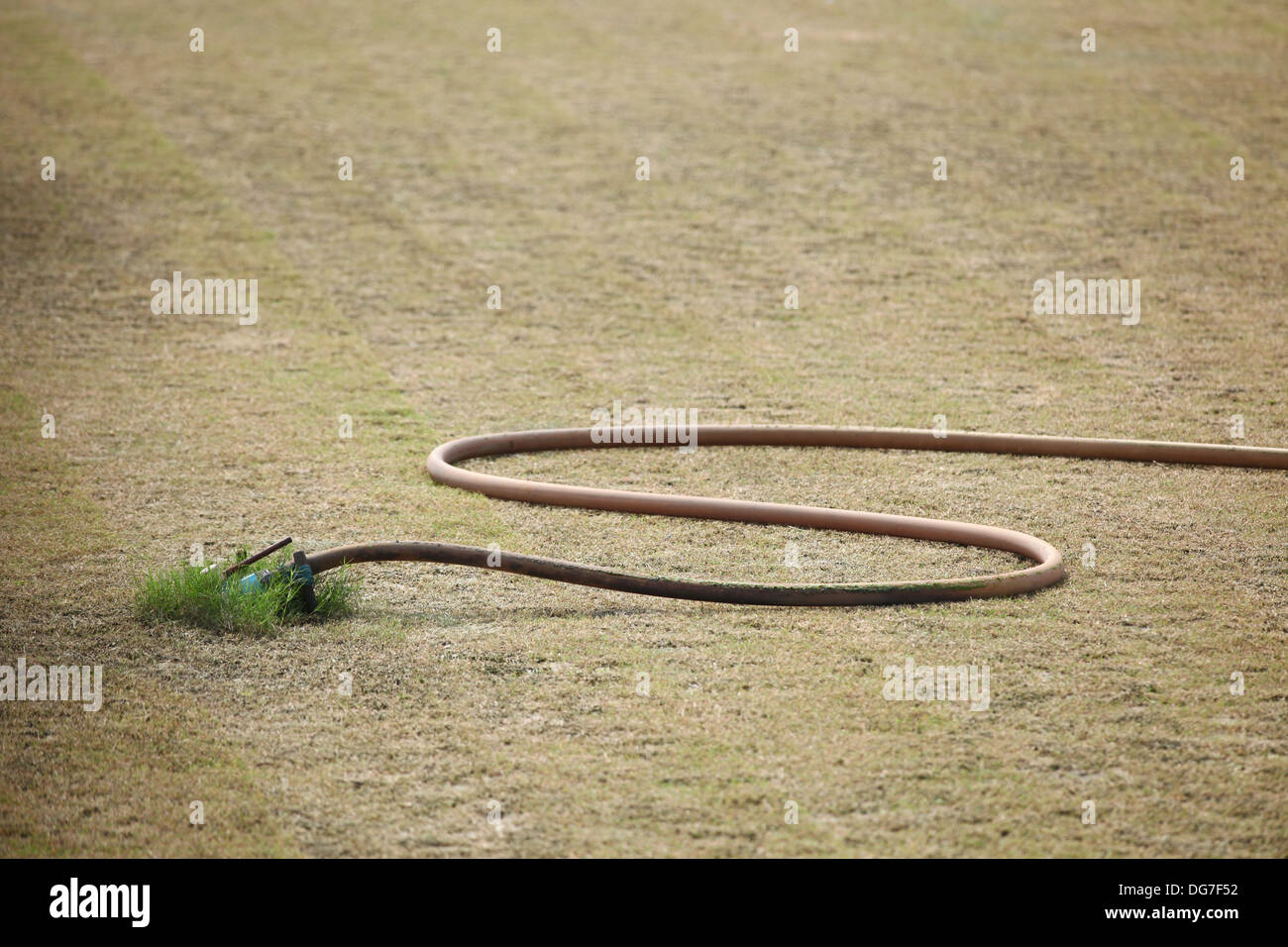 Garden Hose on Brown Grass Stock Photo - Alamy