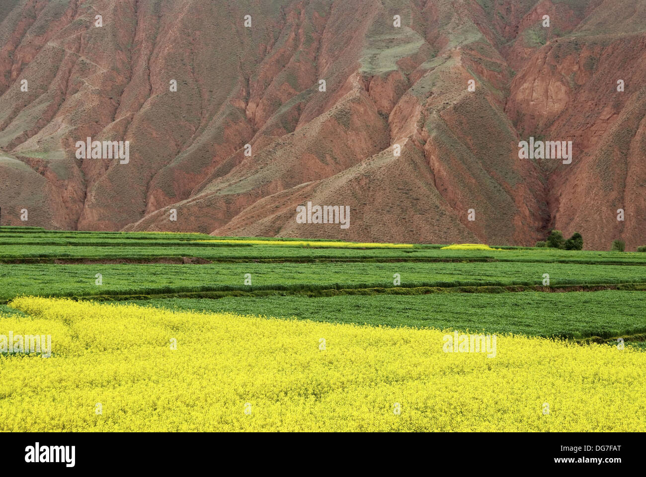 Kansu province hi-res stock photography and images - Alamy