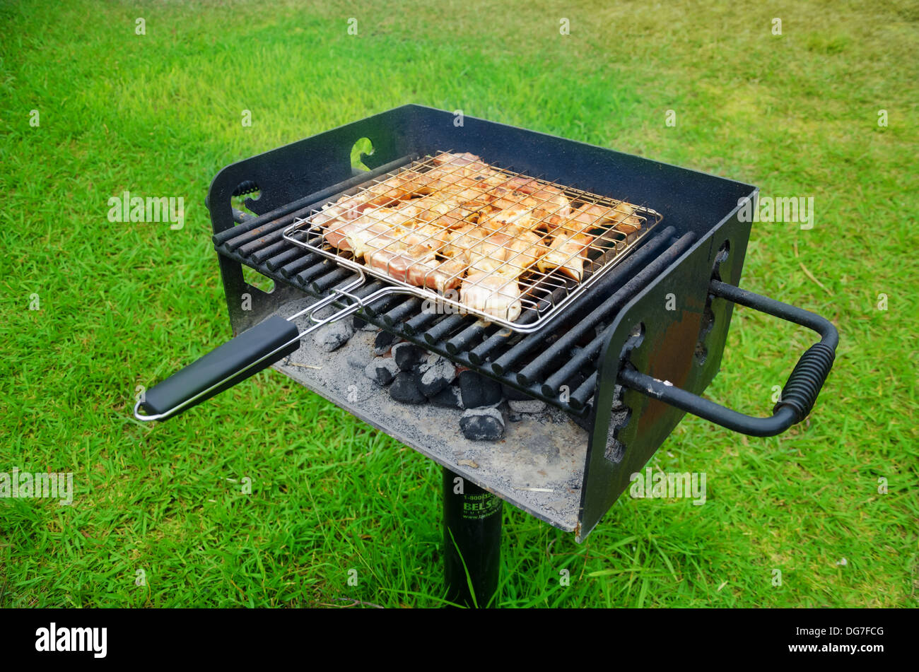 Fresh meat preparing on grill in summer day Stock Photo - Alamy