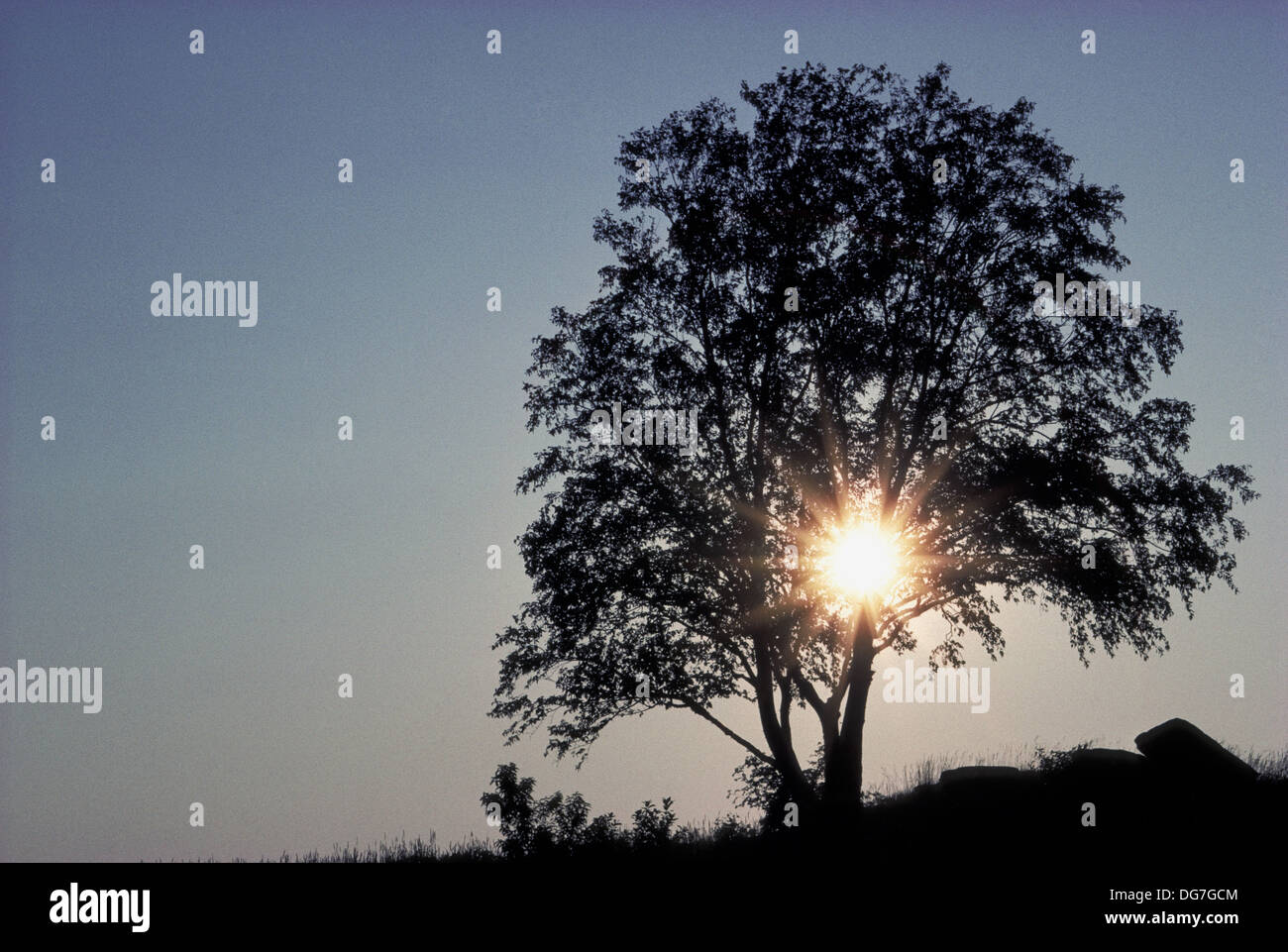 Beauce quebec hi-res stock photography and images - Alamy