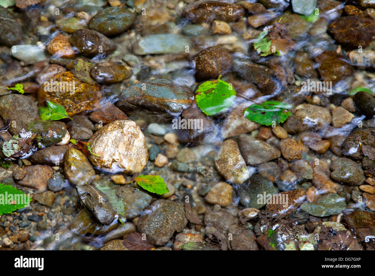 Pebbles in stream hi-res stock photography and images - Alamy