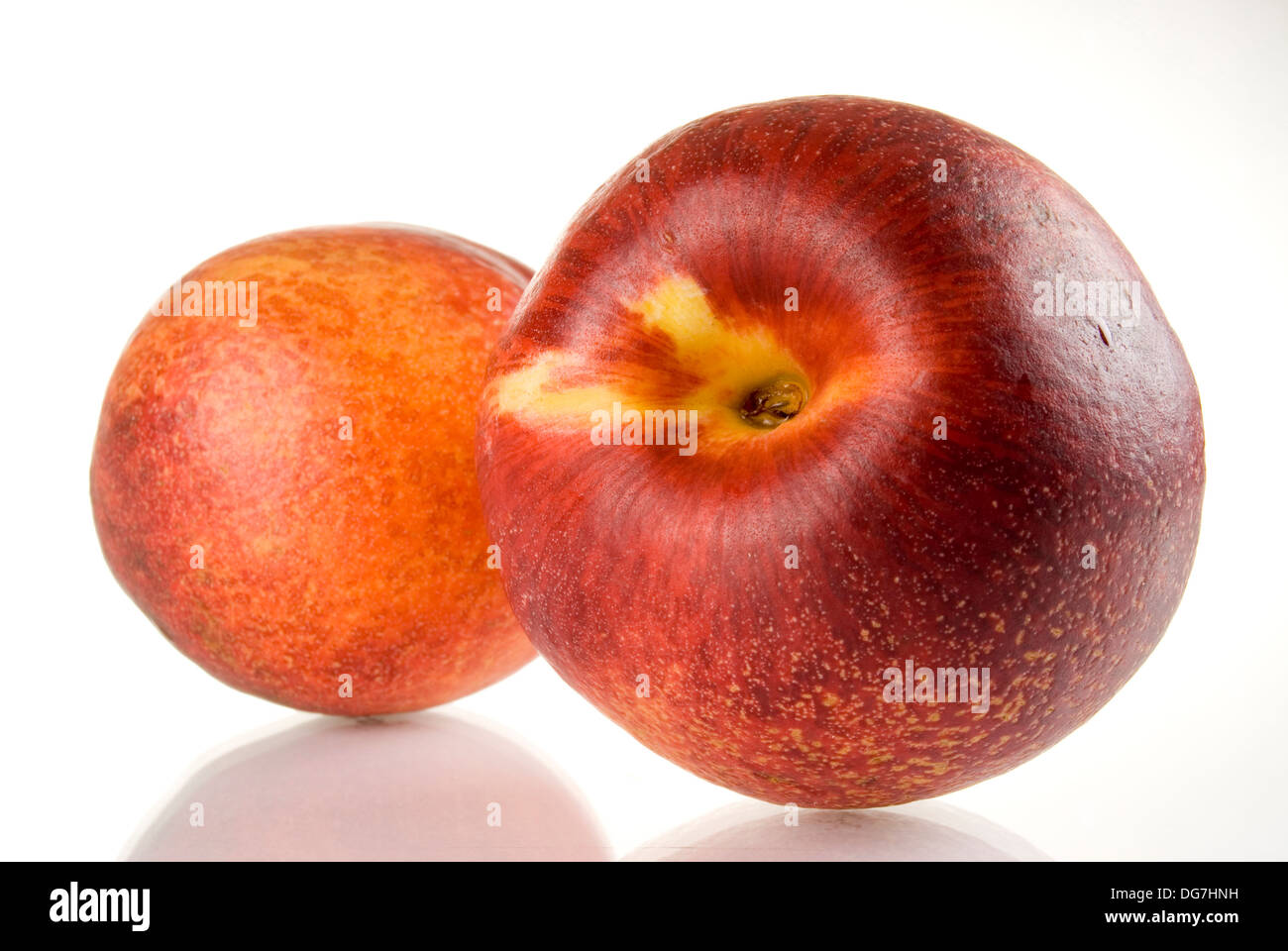 Peach cross section hi-res stock photography and images - Alamy