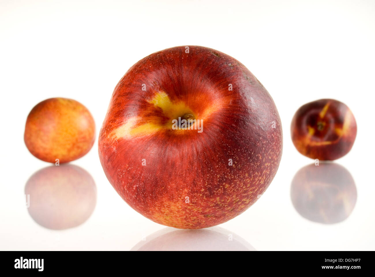 Peach cross section hi-res stock photography and images - Alamy