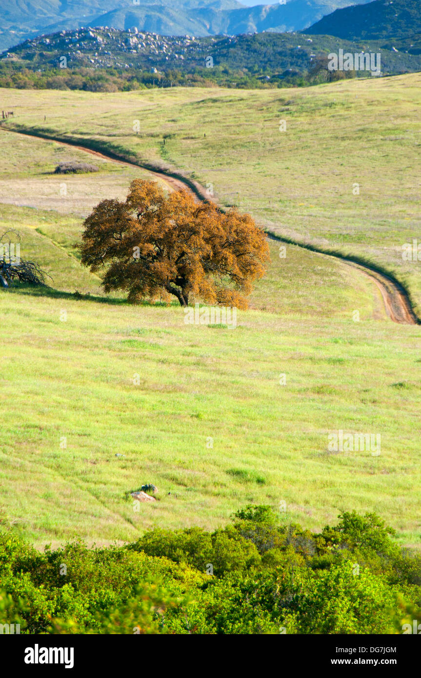 Santa rosa plateau hi-res stock photography and images - Alamy