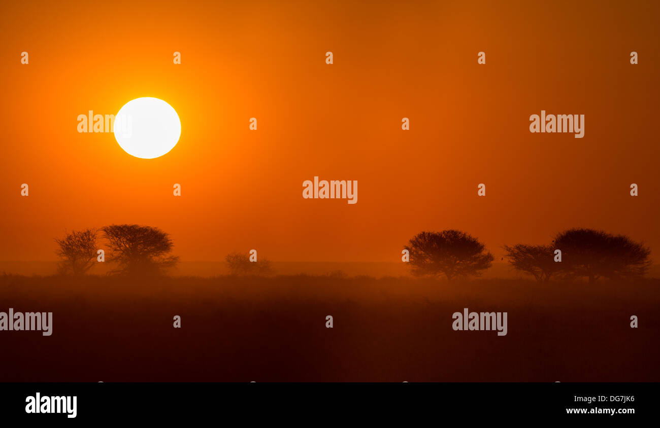 Beautiful african sunset Stock Photo - Alamy
