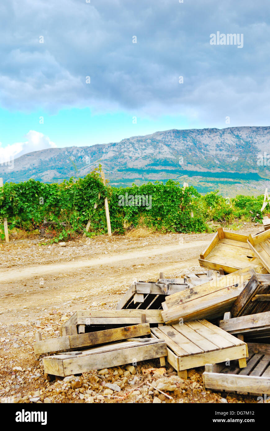 Empty crop rows hi-res stock photography and images - Alamy