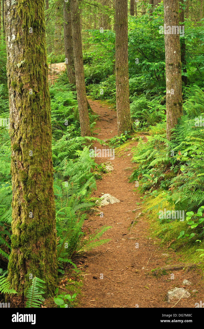 Minnekhada marsh hi-res stock photography and images - Alamy