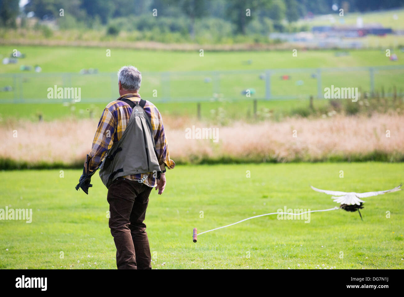 A falconry display at Lowther Bird of Prey Centre, near Penrith, UK ...