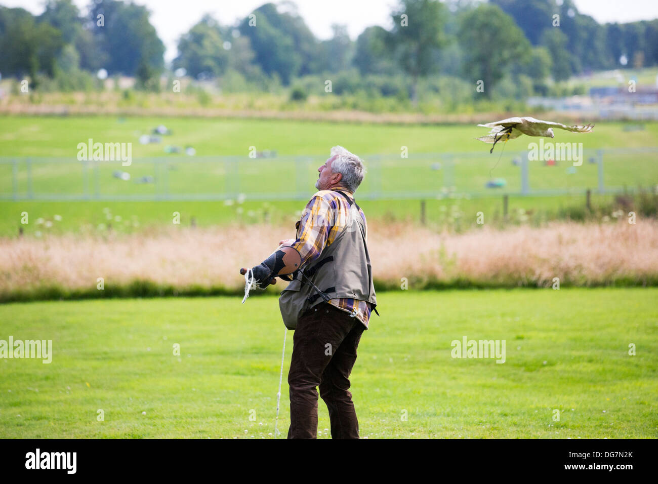 A falconry display at Lowther Bird of Prey Centre, near Penrith, UK ...