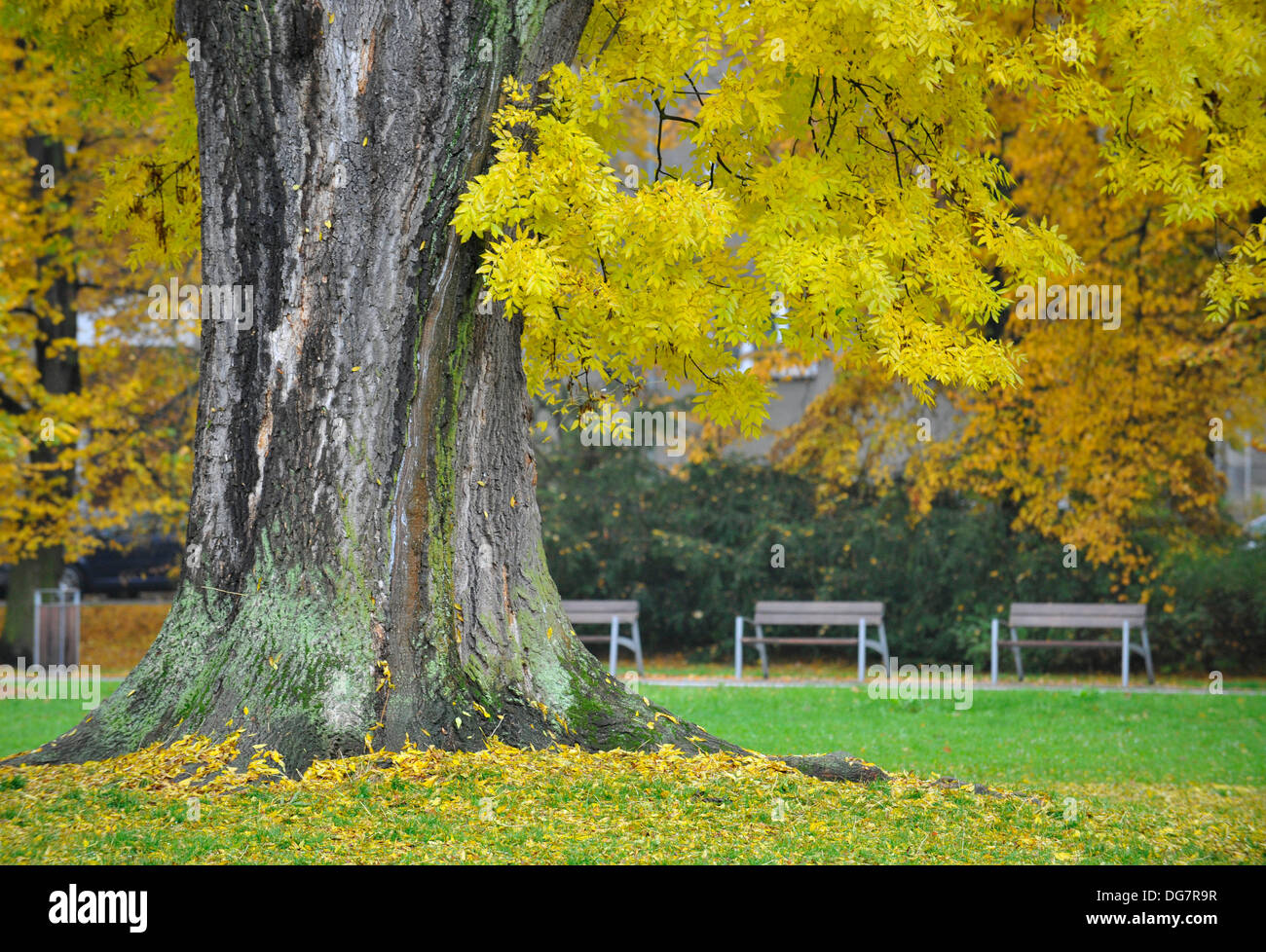 Olomouc, Czech Republic. 16th Oct, 2013. Cechovy sady in autumn colours ...
