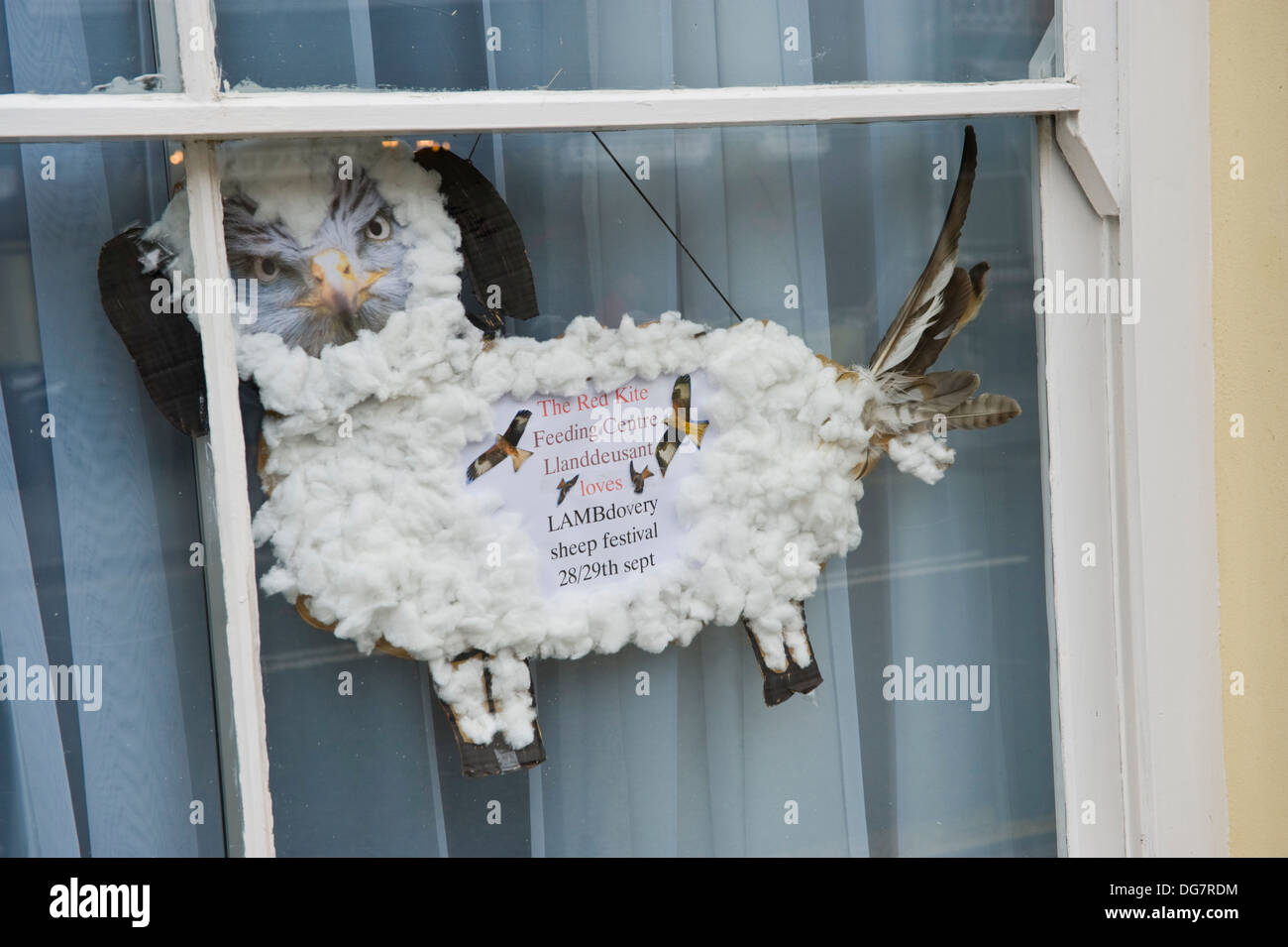 Window display in house during Llandovery Sheep Festival, Llandovery ...